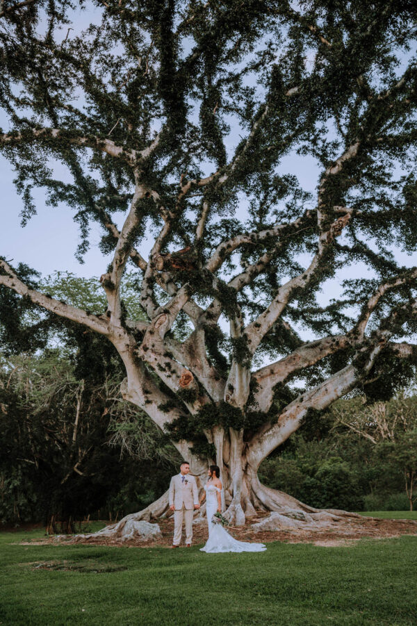 Weddings & Events - Dillingham Ranch