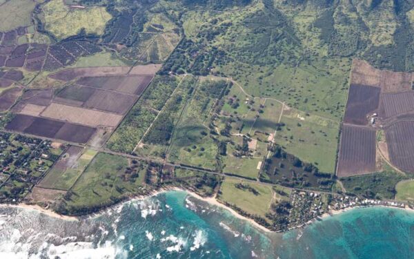 Film & Photo - Dillingham Ranch