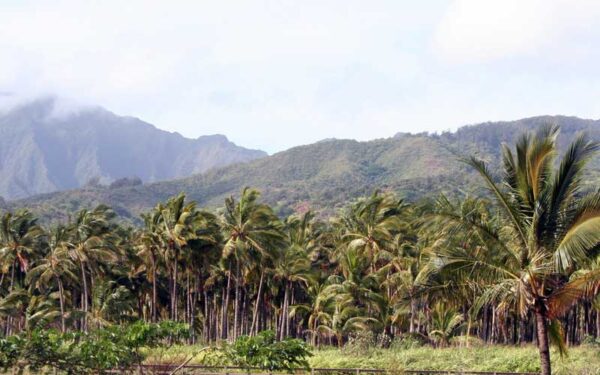 Film & Photo - Dillingham Ranch